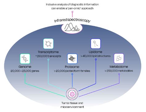Infrared Spectroscopy Can Enable The Pan Omic Approach By Capturing Download Scientific