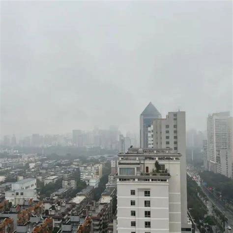 低温冰冻再袭广西自治区发布重大气象灾害防御警报 宾阳 天气 桂北