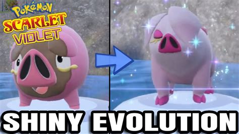 I Evolved My Shiny Lechonk Into A Shiny Oinkologne In Pokemon Scarlet
