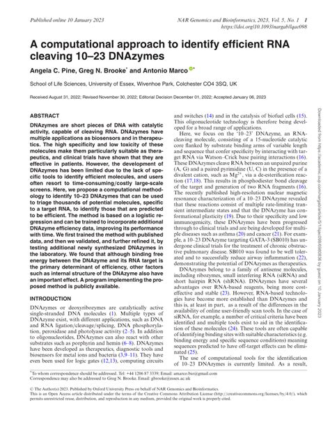 Pdf A Computational Approach To Identify Efficient Rna Cleaving 1023