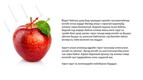 Хичээлийн сэдэв Өнгөний ба гэрэл түний шинж чанар Pdf