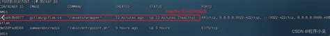 Docker部署gitlabgitlab Docker部署 Csdn博客