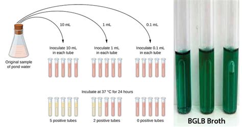 most probable number mpn test principle procedure 50 off
