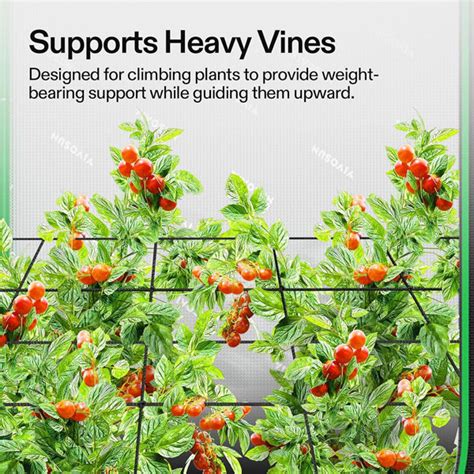 Arlmont Co X Ft Elastic Trellis Netting With Hooks For Climbi Wayfair