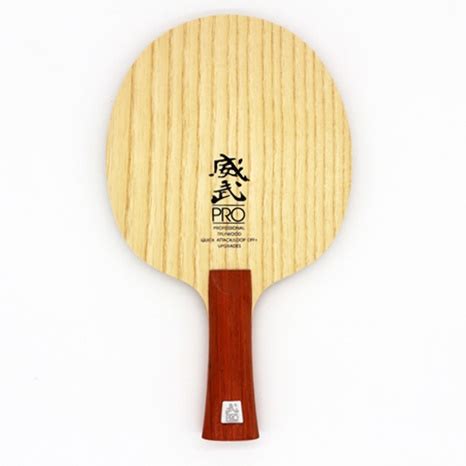 V5 PRO - SANWEI Sport