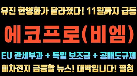 에코프로비엠 주가전망 유진 한병화가 달라졌네요 11월까지 급등할 에코프로그룹 주가 이렇게 대응하세요 중요한 이슈 챙기세요 30~50 수익 납니다 Youtube