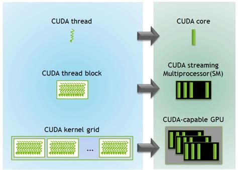 GPU Parts Diagram And Their Functions Explained