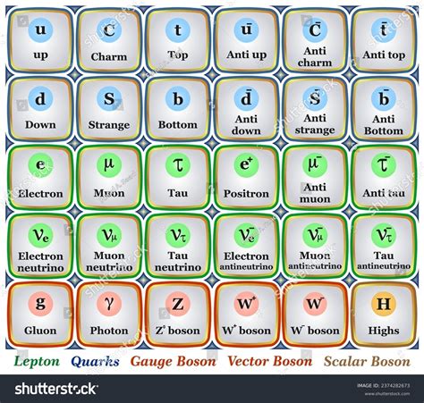 Standard Model Classification Particles Stock Vector Royalty Free