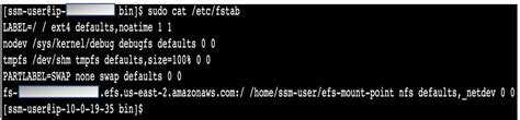 Integrate Amazon Rds Custom For Oracle With Amazon Efs Aws Database Blog