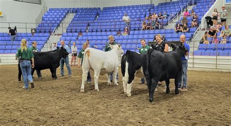 North Dakota Leaders Experience 4 H Livestock Showmanship Morning Ag