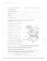 Lab Activity Microscopes Definitions Functions And Course Hero
