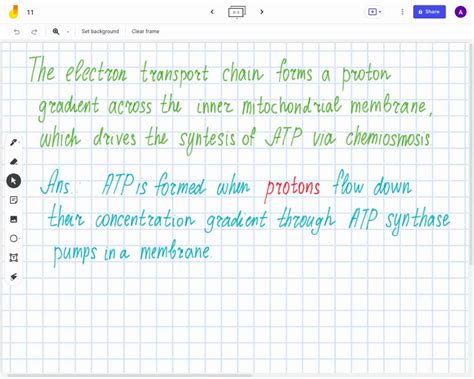 Solved Q The Electron Transport Chain Between Photosystem Il And