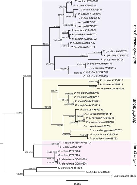 the tree resulting from the maximum likelihood ml analysis bayesian