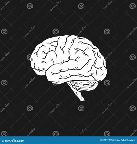 Human Brain Vector Illustration Design Stock Vector Illustration Of