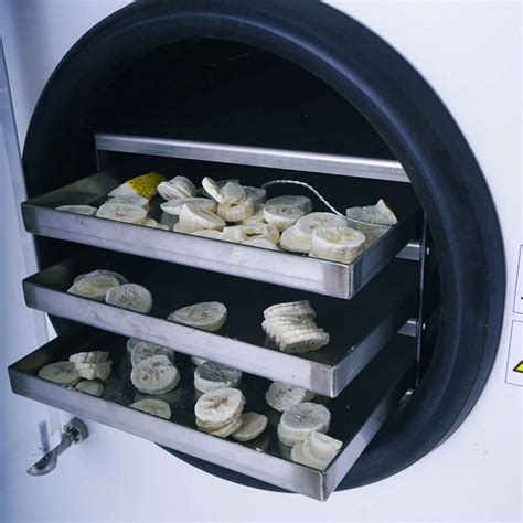 Small Food Vacuum Freeze Dryer Dehydrator For Sale Lab Instrument