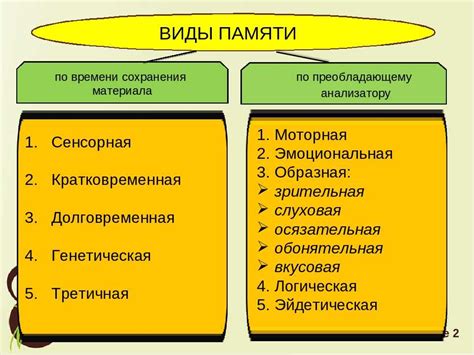 Виды памяти человека классификация в психологии и их характеристика