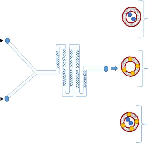 Schematic Representing The Microfluidic Chip Structure Is Having A