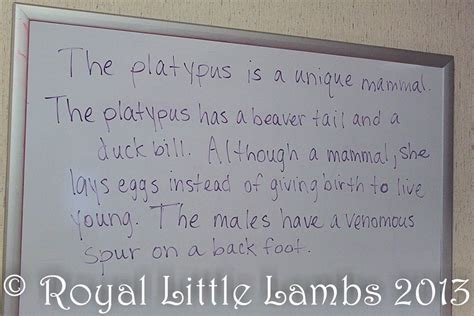 Iew Student Writing Intensive Review