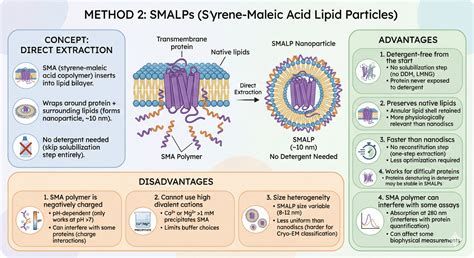 Detergent Free Membrane Protein Purification Nanodiscs And Beyond