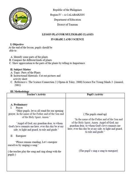 Multi Grade Lesson Plan Science Grade 2 3 Pdf Leaf Root