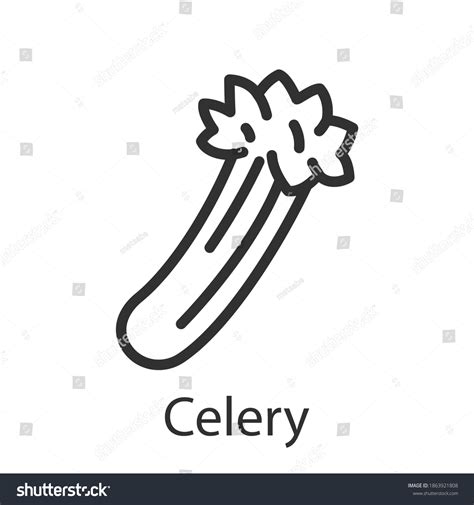 Celery Stalk Pictogram Over 13 Royalty Free Licensable Stock Vectors And Vector Art Shutterstock