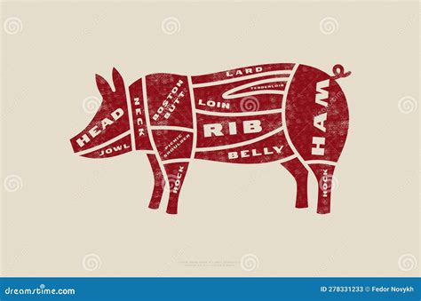 Stock Vector Pork Cuts Diagram In Flat Style Stock Vector
