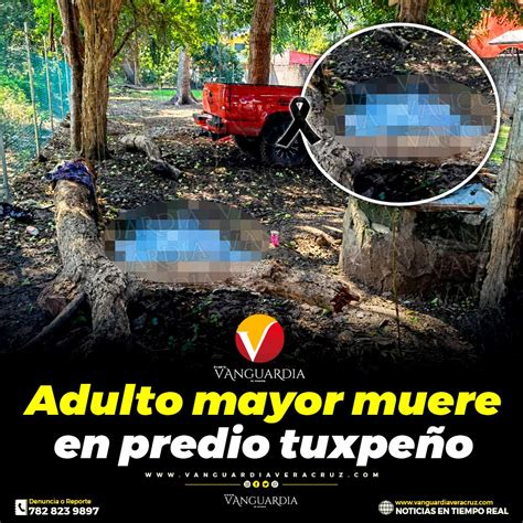 😰 Hallan Sin Vida A Un Abuelito Vanguardia De Veracruz