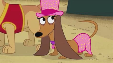 Strudel Pound Puppies Wiki Fandom Powered By Wikia