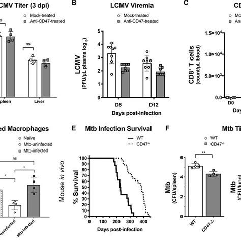 In Vivo Cd47 Blockade In Lcmv Infection And Cd47 Genetic Inactivation