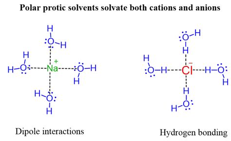 Polar Protic And Polar Aprotic Solvents Chemistry Steps