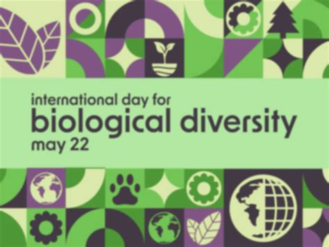 International Day For Biological Diversity On May 22 Reminds Us We Need