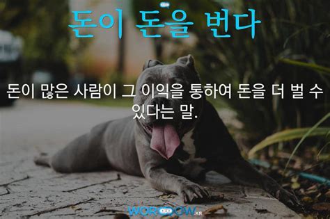 속담 돈이 돈을 번다