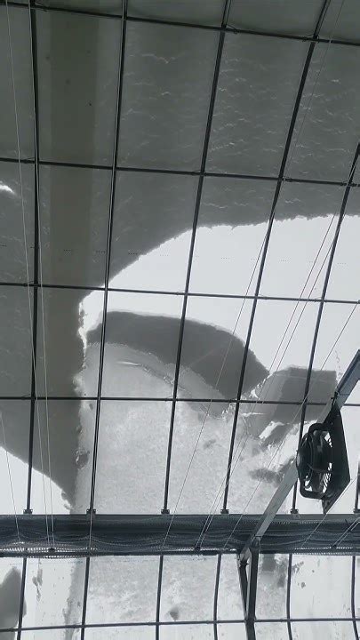 급눈 녹이는데 짱 고체연료고체난로우물정진주바위솔 우물정진주바위솔 Youtube