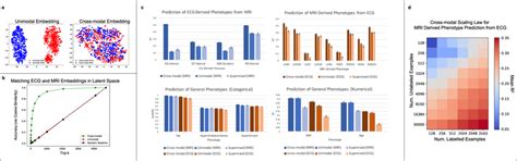 improvement of phenotype prediction from cross modal representations