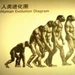 Difference Between Anatomy And Physiology BioExplorer