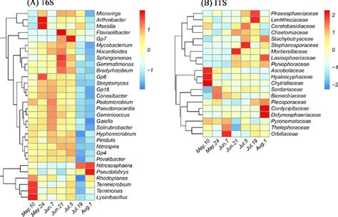 Heatmaps Showing The Abundance Distributions Of The Top 30 Archaeal And