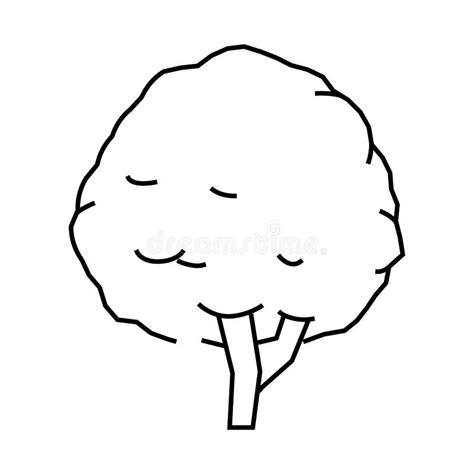 Neem Tree Jungle Amazon Line Icon Vector Illustration Stock Vector