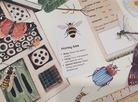 Bug Explorer Dramatic Play Set Entomology Lab Pretend Play Insect Activity Unit Bug