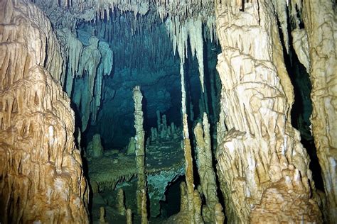 Cenote Dreamgate A Hidden Untouched Cenote Deep In The Jungle