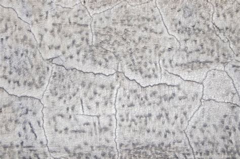 Premium Photo White Concrete Surface With Cracks And Small Bitmap