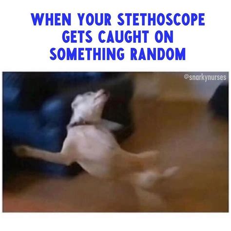 Pin By Katelyn Harrell On Nurselife Medical Assistant Humor Nurse Jokes Nursing School Humor