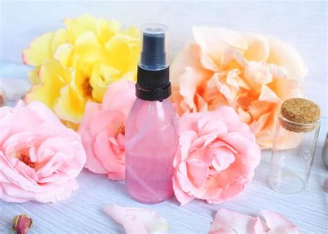 The Best Diy Rose Water Toner Recipe