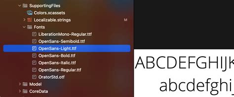 Ios Why Doesnt My Custom Font Work For Every Widget Instance Added