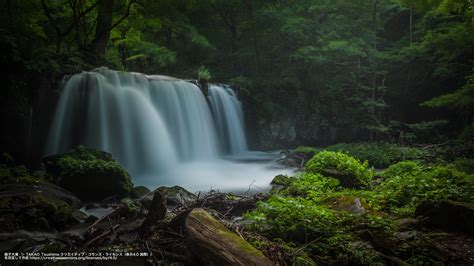 白いバーチャル背景をまとめています バーチャル背景の無料素材集 V背景