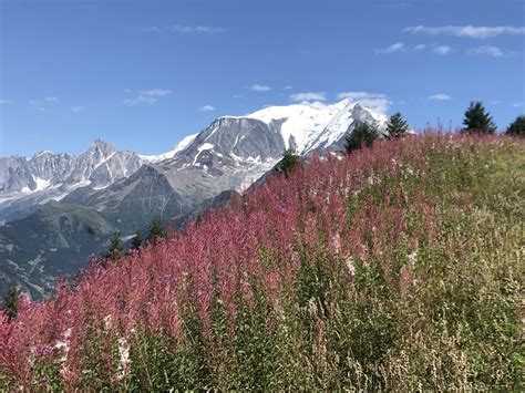 Les 7 Plus Belles Randonnées à Faire Au Massif Des Bauges