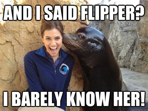 And I Said Flipper I Barely Know Her Crazy Secret Quickmeme