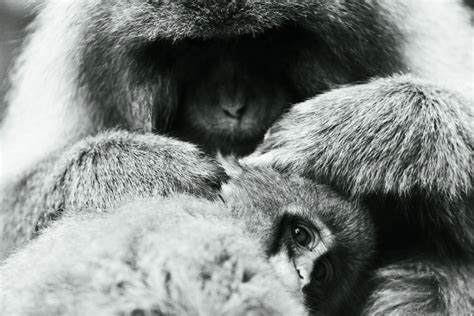 白黒写真の世界の美しさ！モノクロが描く光と影の世界 気ままに写真を