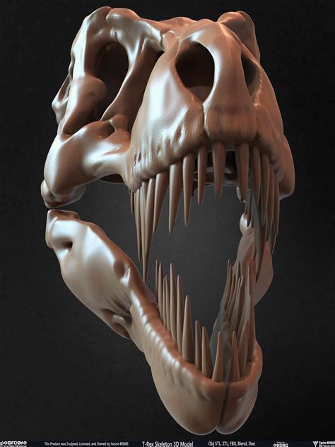 T Rex Skeleton 3d Model Zbrushcentral