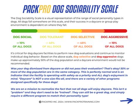Dog Sociability Scale Packpro Training