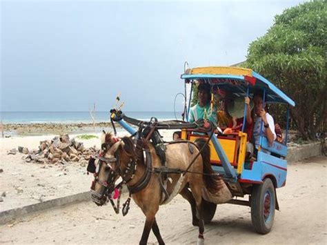 Cidomo Tour In Bali And Gili Island Indonesia Travel Guide Flamingo